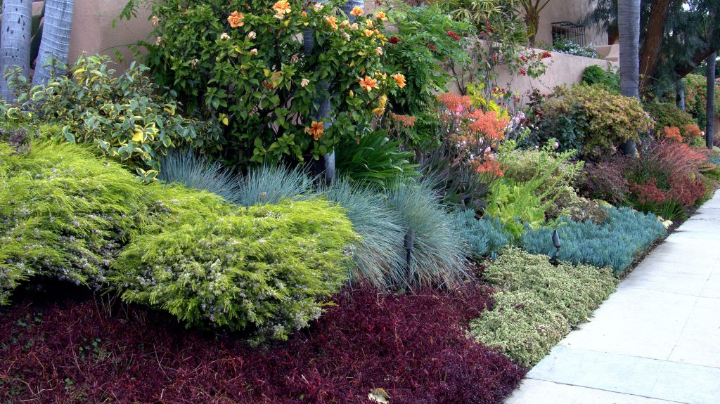 Home - Garden Landscape art and architecture beautifully crafted by Mark David Levine